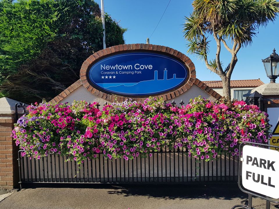 Newtown Cove Caravan & Camping Park - Camping Ireland
