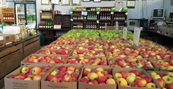 The Apple Camping and Caravan Park - Camping Ireland