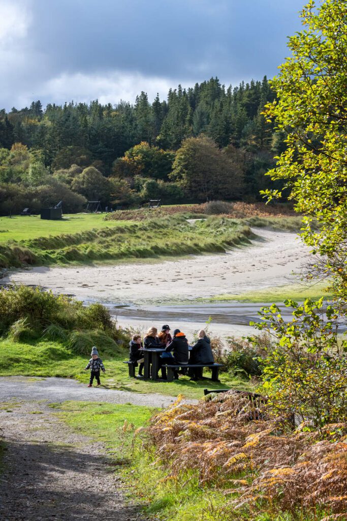 Take a trip to the woods and don't forget the picnic - Camping Ireland