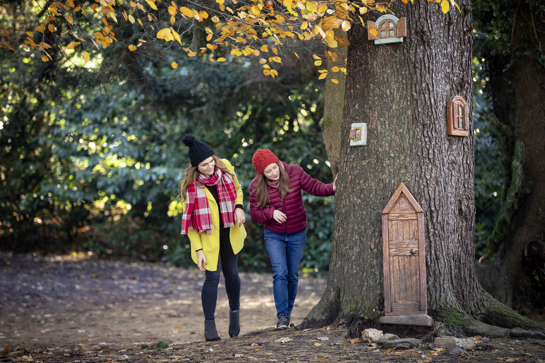 Take a trip to the woods and don't forget the picnic - Camping Ireland